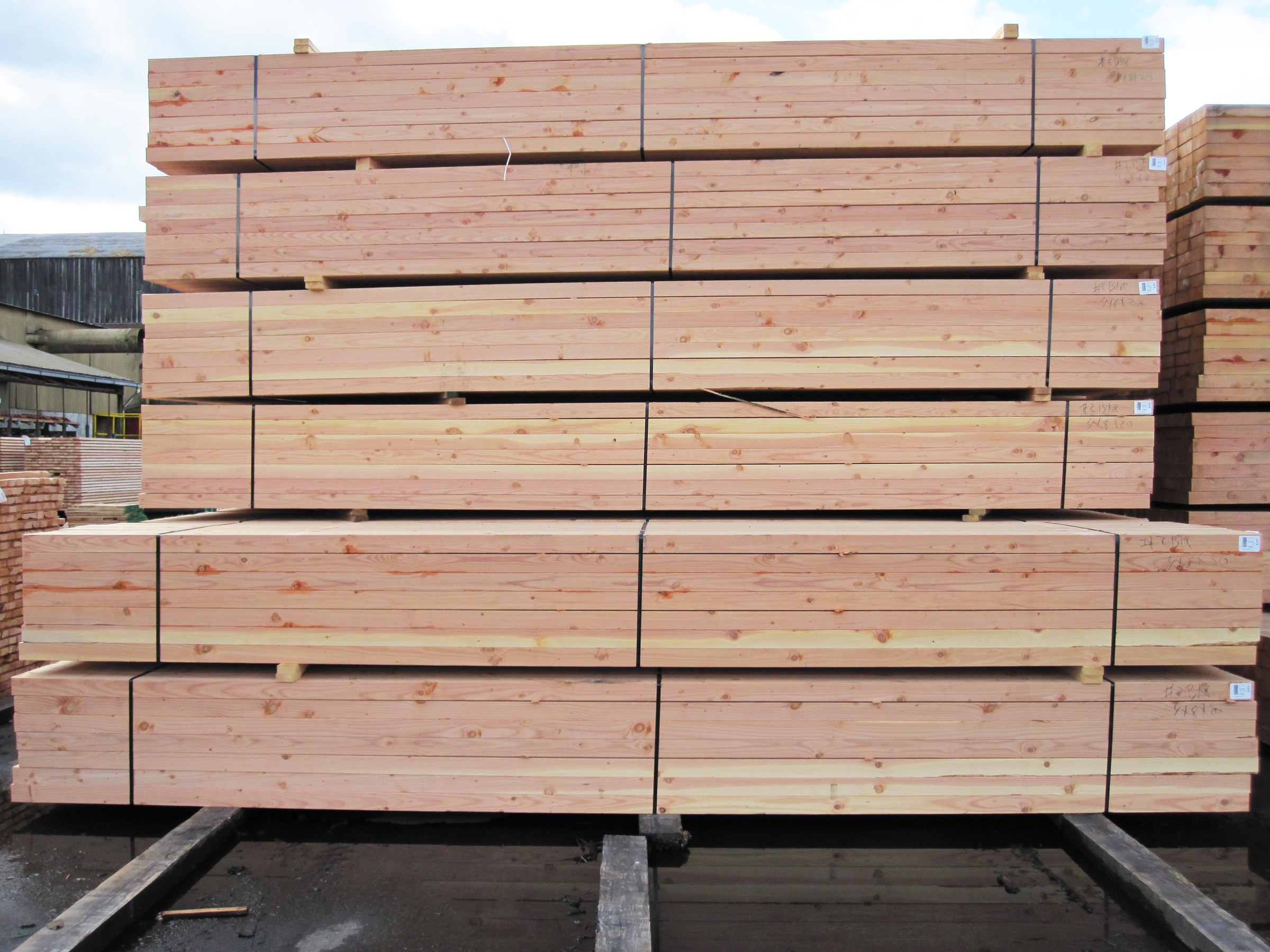 Timbers-Studs+032 - Rosboro